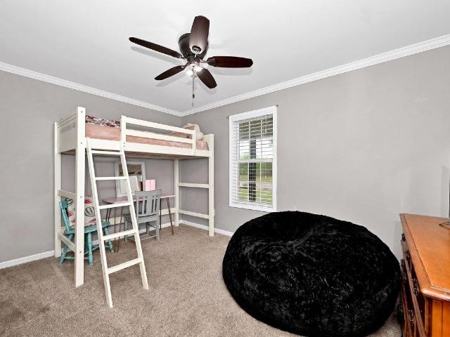 1791 Co Rd 984