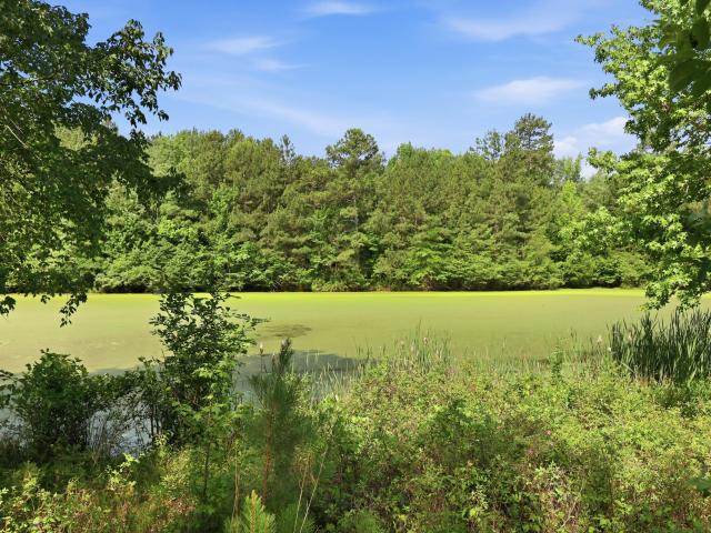 1791 County Home Road