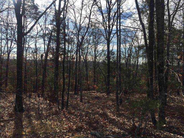 17925 Cobb Ln, Bigelow, AR 72016