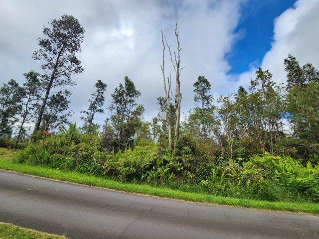 1793 Rd # 1, Mountain View, HI 96760