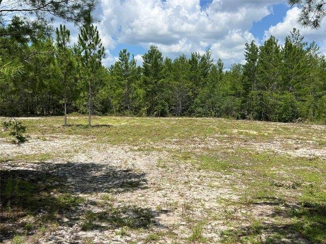 179th Pl, Archer, FL 32618