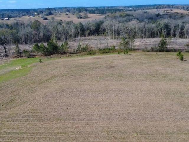 179 County Road 5, Ozark, AL 36360