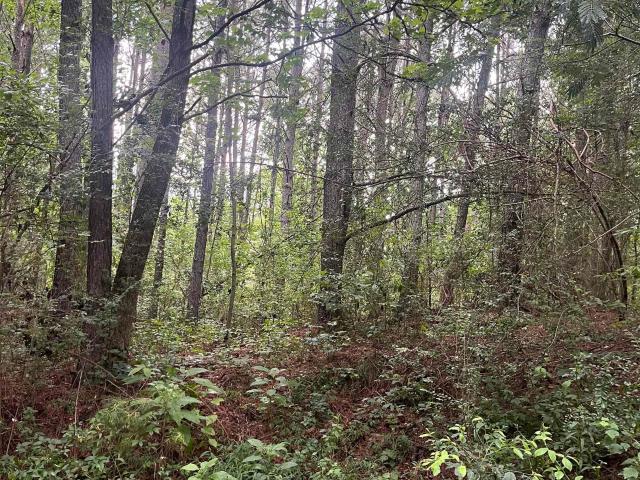 179 Co Rd 939