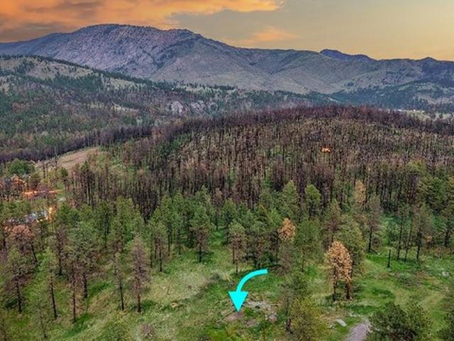 179 Green Ridge Rd, Drake, CO 80515