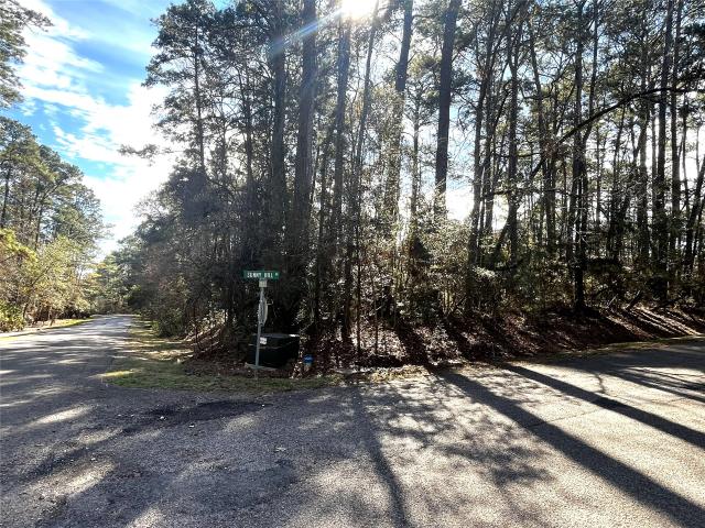 179 Green Tree Drive
