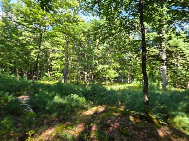 179 Mountain Top Drive