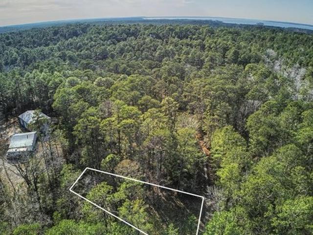 179 Sassafras, Brookeland, TX 75931