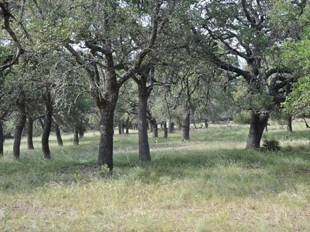 18043 FM 479, Harper, TX 78631