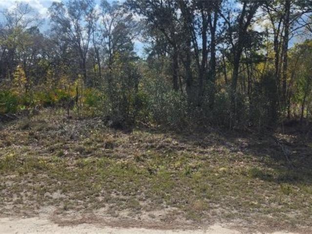 18043 Ramsey Rd, Weeki Wachee, FL 34614
