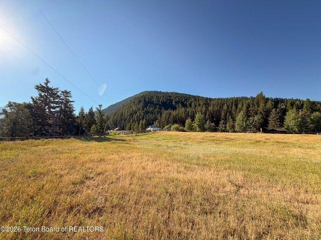 1805 E River Dr, Jackson, WY 83001