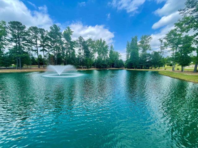 1808 Lumineer Ln, Wendell, NC 27591 | MLS #10160