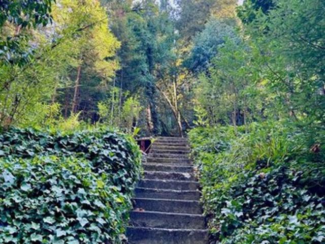 18090 Highway 116, Guerneville, CA 95446