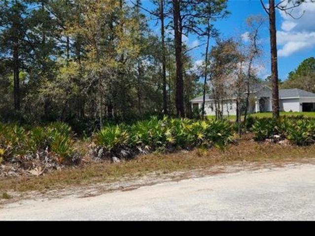 18099 Parakeet Rd, Brooksville, FL 34614