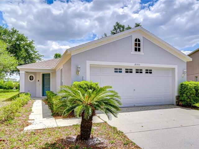 18003 Birdwater Dr, Tampa, FL 33647