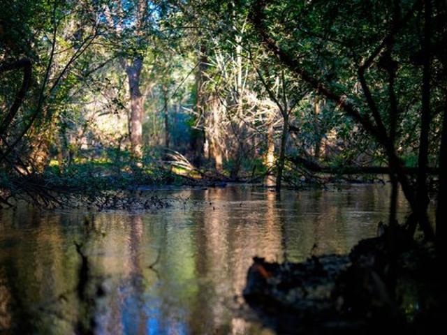 18000 FM 791, Campbellton, TX 78008
