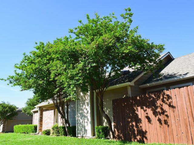 1800 Maplewood Trail