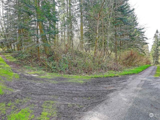 1800 Amber View Pl, Camano Island, WA 98282 | MLS #2266