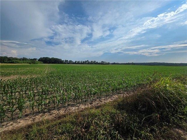 1800 E 700 North Rd, Shelbyville, IL 62565