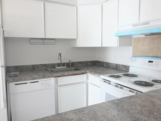 1800 Fenton Street #11 | 2 WEEKS FREE Spacious 2 Bed/ 1 Bath in Prime Lakewood Location!