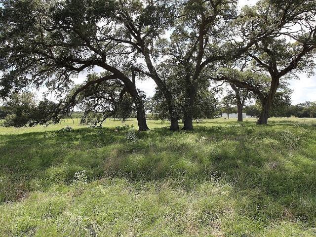 1801 Fm 1383, Schulenburg, TX 78956 | MLS #65399