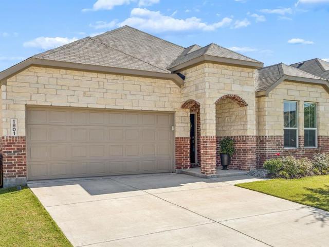 1801 Rubber Fig Lane