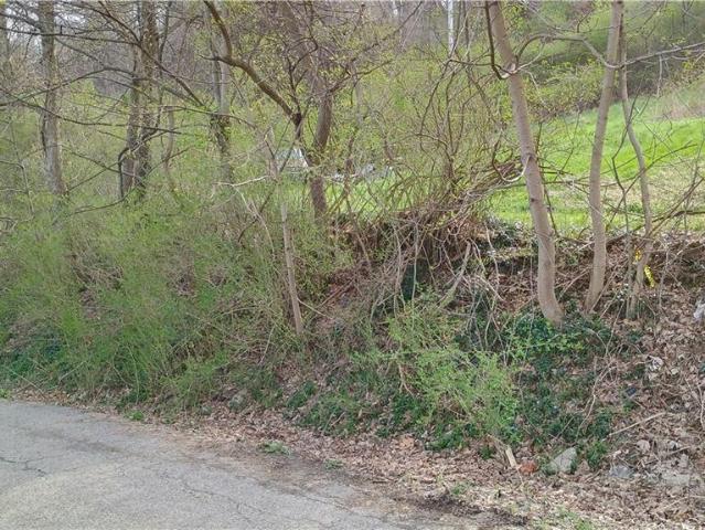 1801 13th Ave, Beaver Falls, PA 15010 | MLS #1747