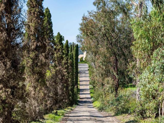 18024 Avenida Alondra, Rancho Santa Fe, CA 92067 | MLS #260003