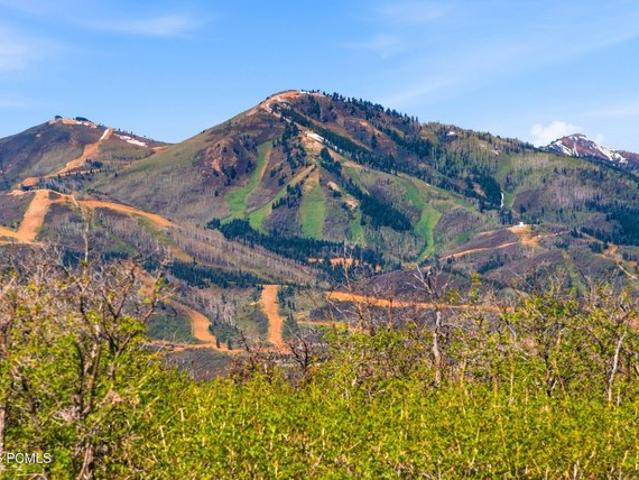1802 E Daybreak Ct Lot DS16, Kamas, UT 84036
