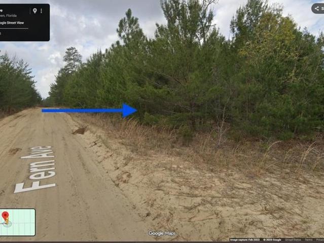 1802 Fern Ave, Interlachen, FL 32148