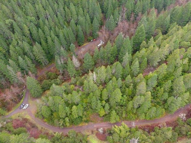 1802 Waters Creek Rd, Wilderville, OR 97543