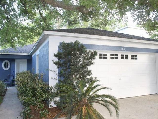 18035 Birdwater Dr, Tampa, FL 33647