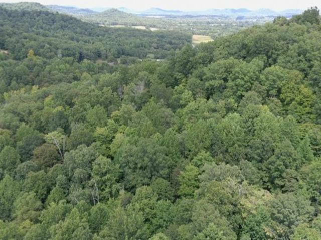 1803 Fisher Creek Rd, Lebanon, KY 40033