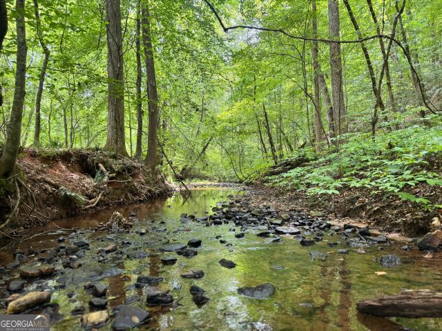 180.14 AC Johnson Mill Road
