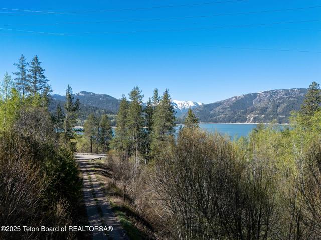 180 acres Cove Rd, Irwin, ID 83428 | MLS #26 537