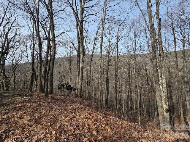 180 Goat House Way, Maggie Valley, NC 28751