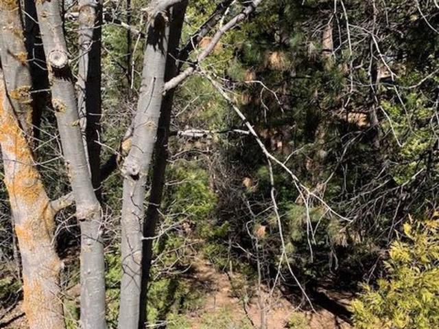 180 Grass Valley Rd Lot 5, Lake Arrowhead, CA 92352