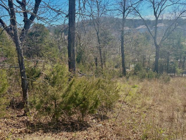 180 Green Briar Drive
