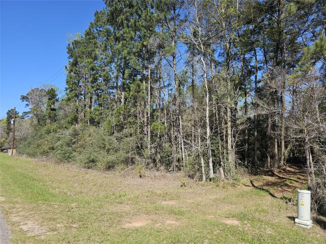 180 Hall Dr S, Montgomery, TX 77316 | MLS #58914 | Compass