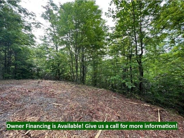 180 Jones Creek Ln, Sevierville, TN 37876