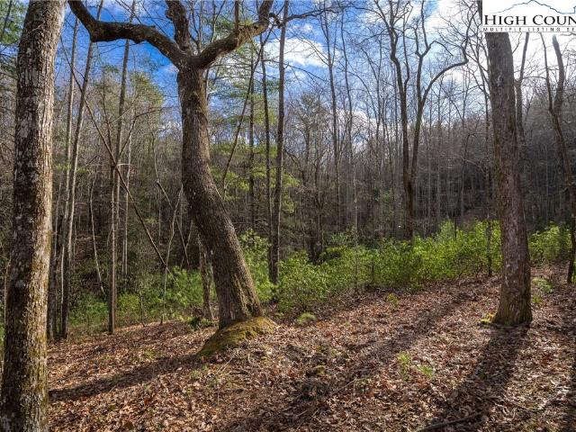 180 Marigold Road