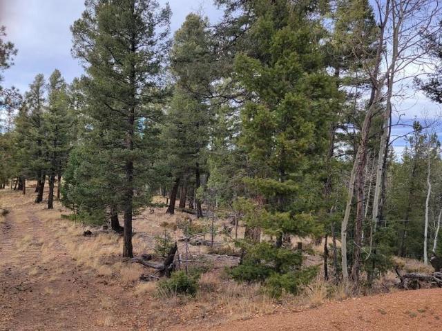 180 Sentinel Way, Florissant, CO 80816 | MLS #4847 | Compass