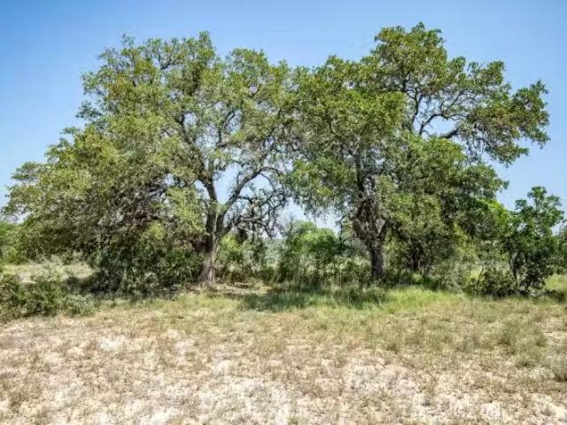 180 Steel Creek Crest, Center Point, TX 78010 MLS 2203746