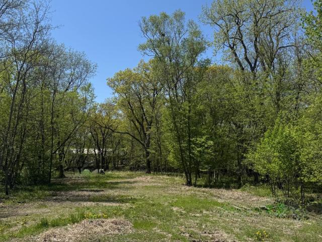 180 Woodland Drive