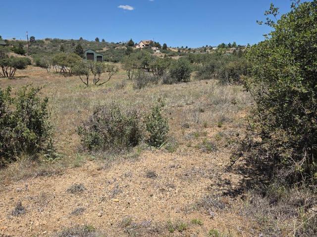 18145 s country club drive # 87