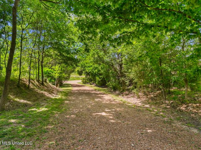 1815 Old Benton Road