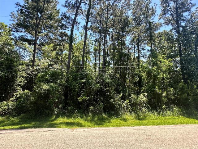 1815 Black Bear Dr, Houston, TX 77532 | MLS #40921