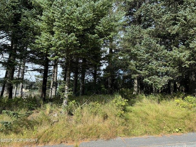 1815 Chichenof St, Kodiak, AK 99615