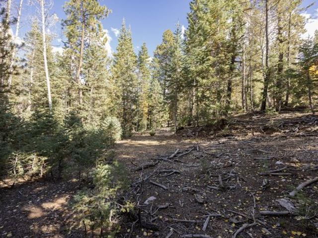 1815 E Beech Craft Dr, Duck Creek Village, UT 84762
