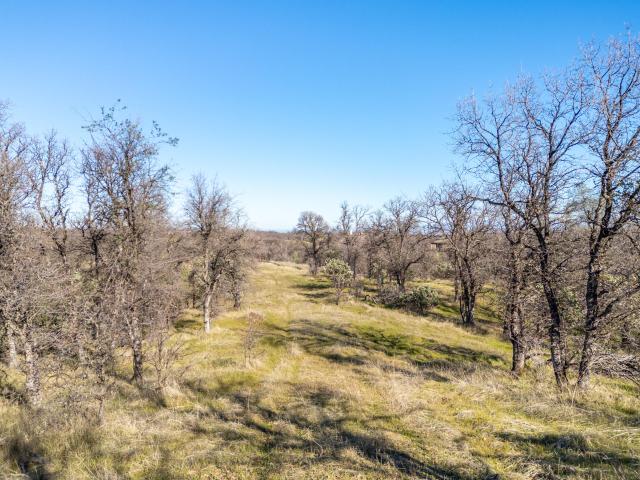 18180 Pack Saddle Rd, Cottonwood, CA 96022 | Compass
