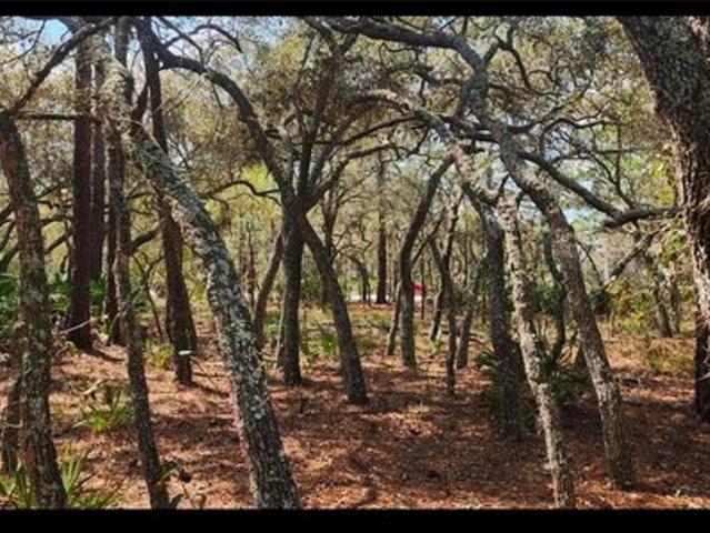 18106 Parakeet Rd, Brooksville, FL 34614